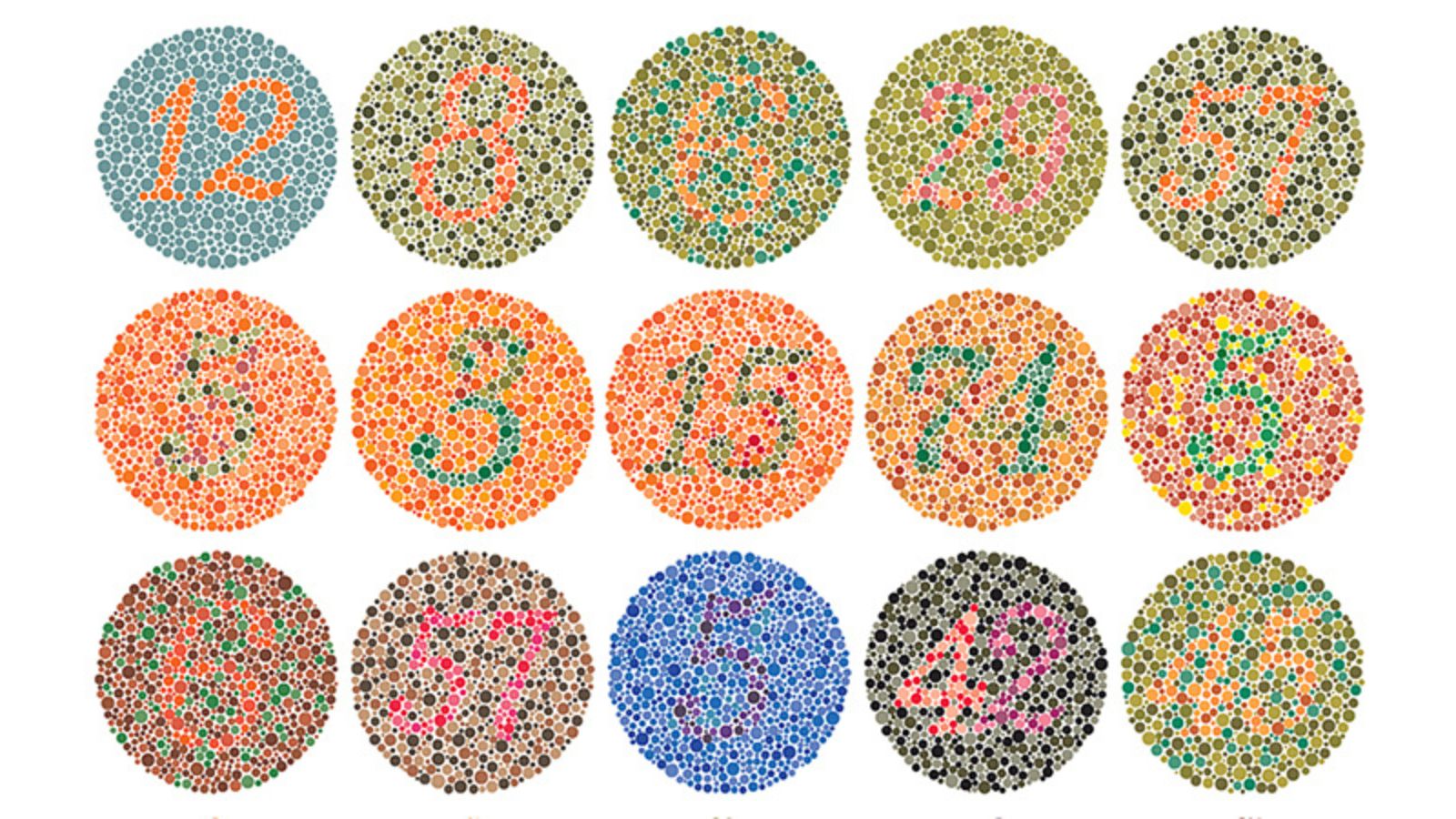 Decoding the Spectrum: Guide to Color Blindness | Aqualens